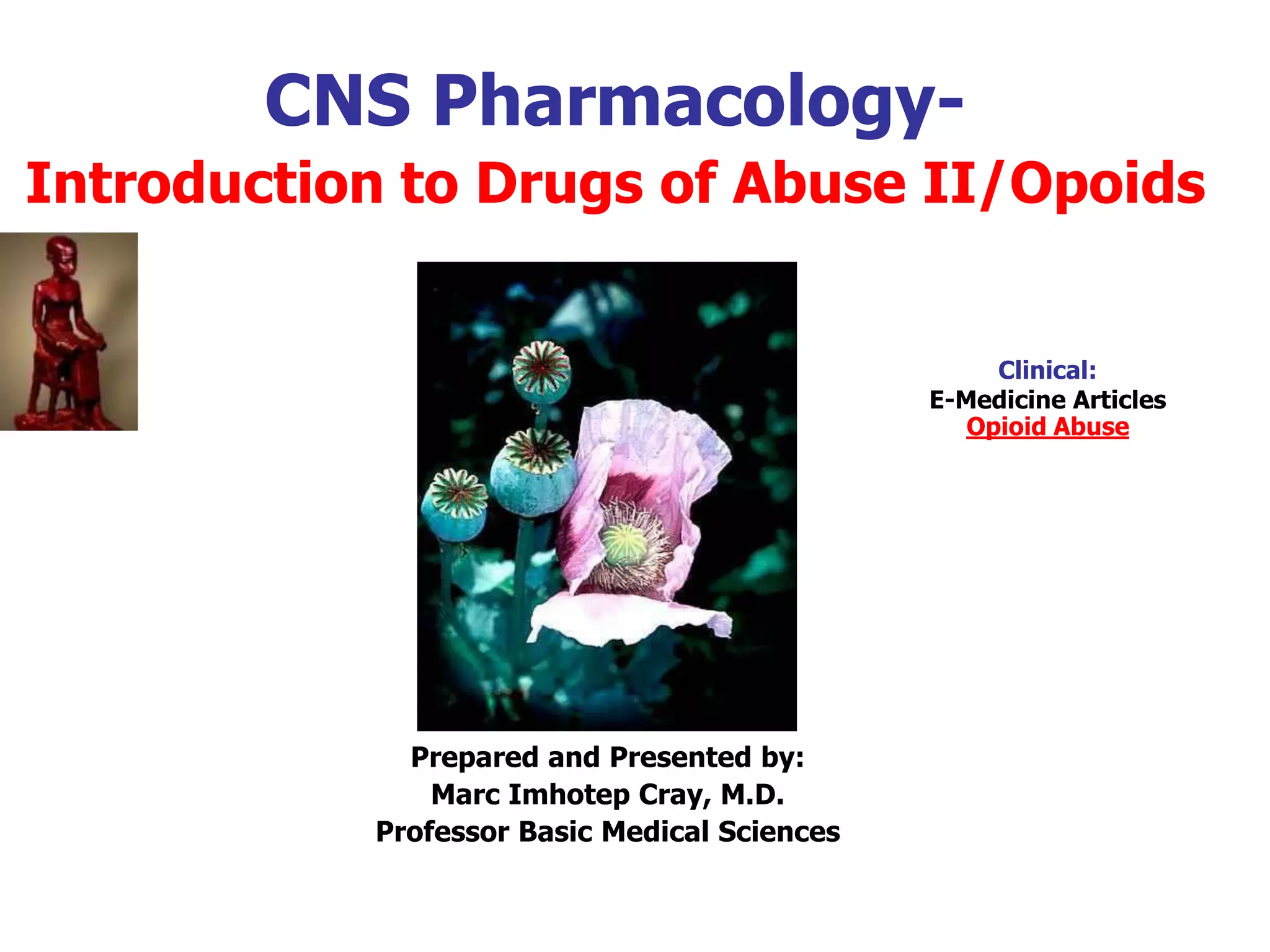 IVMS-CNS Pharmacology- Intro to Drugs of Abuse II-Opioids | PPTX