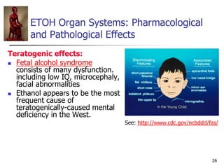 IVMS-CNS Depressants II /Drugs of Abuse IV-Ethanol | PPTX