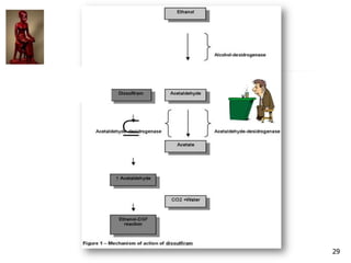 IVMS-CNS Depressants II /Drugs of Abuse IV-Ethanol | PPT