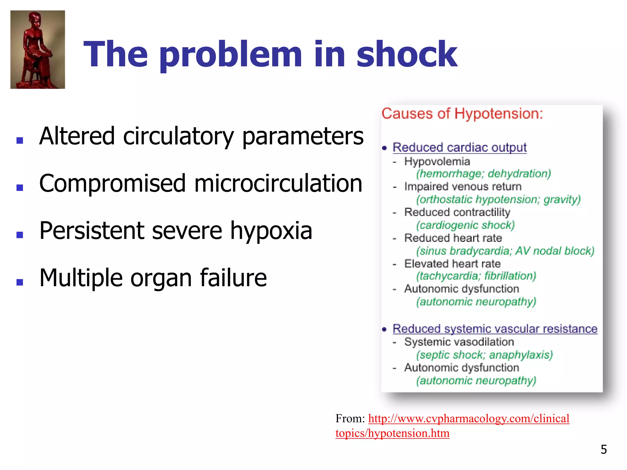 Pathophysiology, Pharmacology and Treatment of Shock | PDF