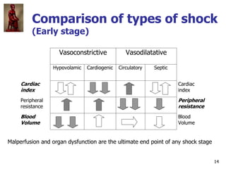Pathophysiology, Pharmacology and Treatment of Shock | PDF