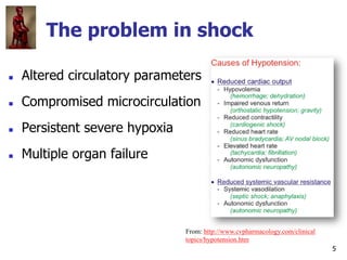Pathophysiology, Pharmacology and Treatment of Shock | PDF