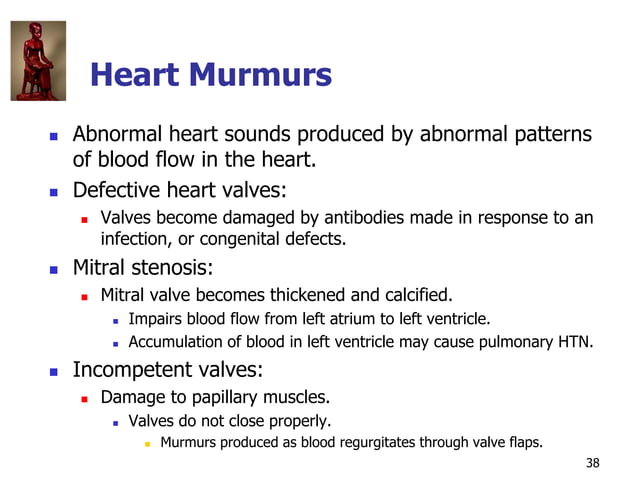 IVMS CV- Comprehensive Overview of Heart and Circulation | PDF | Heart ...