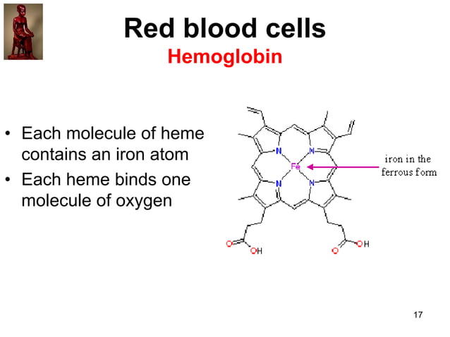 Hematology_Comprehensive Blood Physiology Review