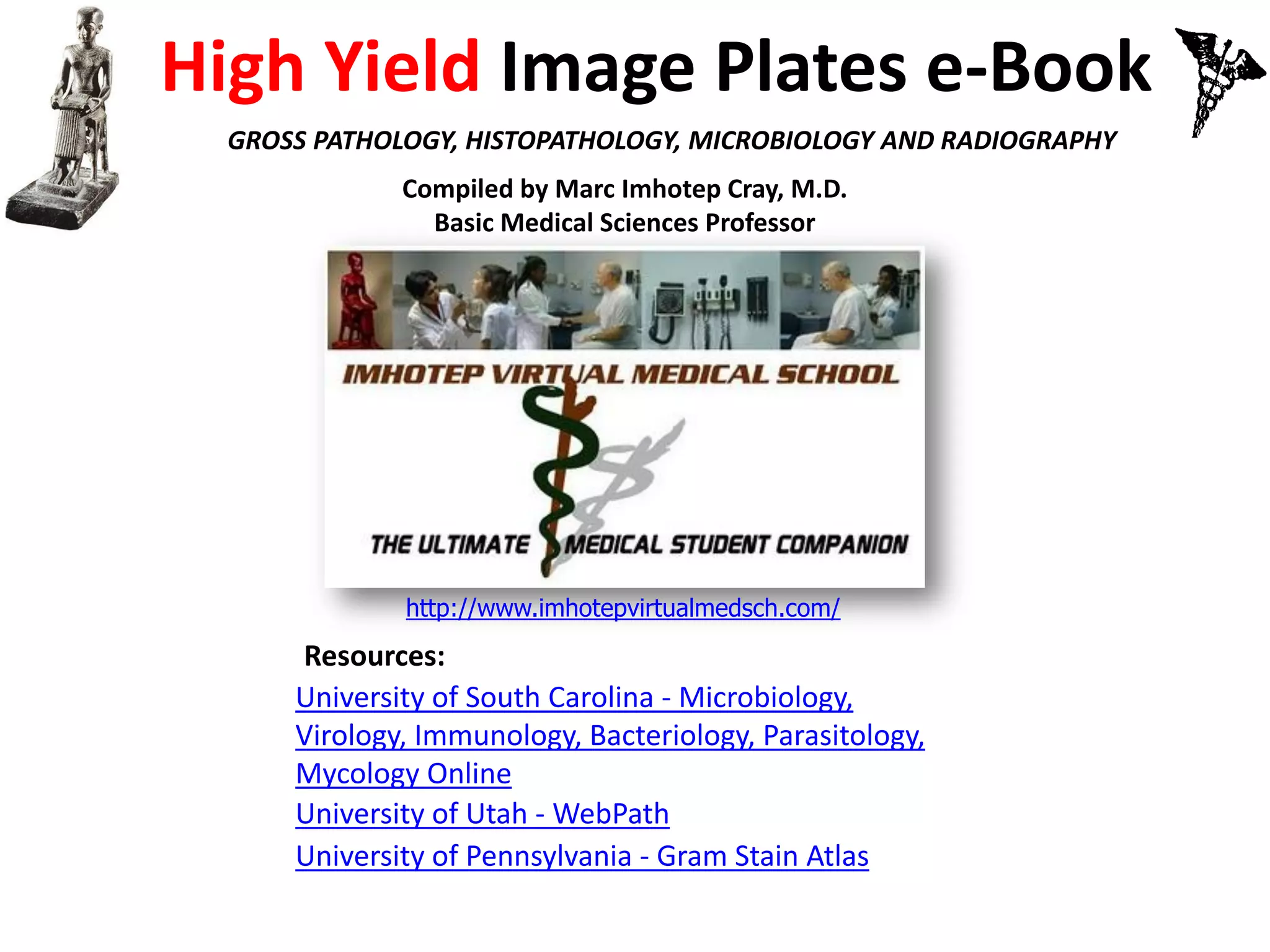 High Yield Image Plates-Gross Pathology, Histopathology, Microbiology ...