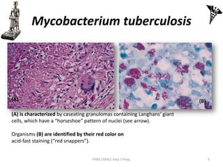 High Yield Image Plates-Gross Pathology, Histopathology, Microbiology ...