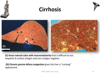 High Yield Image Plates-Gross Pathology, Histopathology, Microbiology ...