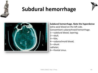 High Yield Image Plates-Gross Pathology, Histopathology, Microbiology ...