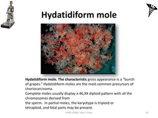 High Yield Image Plates-Gross Pathology, Histopathology, Microbiology ...