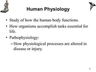 IVMS- INTEGRATED HUMAN PHYSIOLOGY OVERVIEW-The Study of Body Function ...