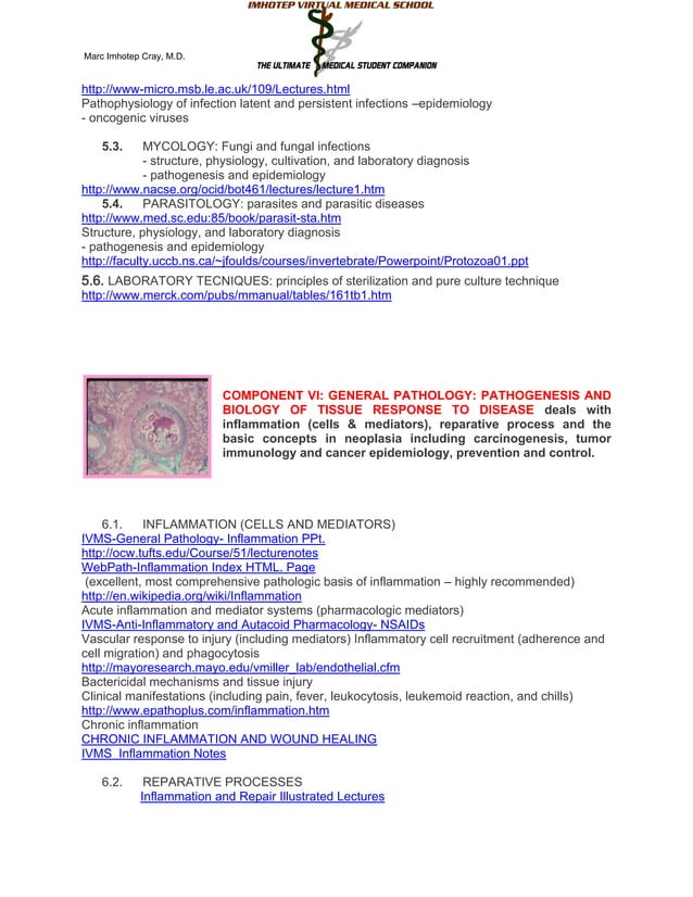 IVMS BMS GENERAL PRINCIPLES USMLE WEB MAPS-Global | PDF
