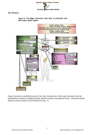 Hormones and Their Actions_Illustrated Notes | PDF
