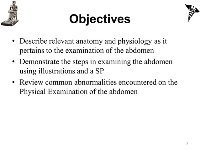 IVMS -ICM Examination of the Abdomen | PDF
