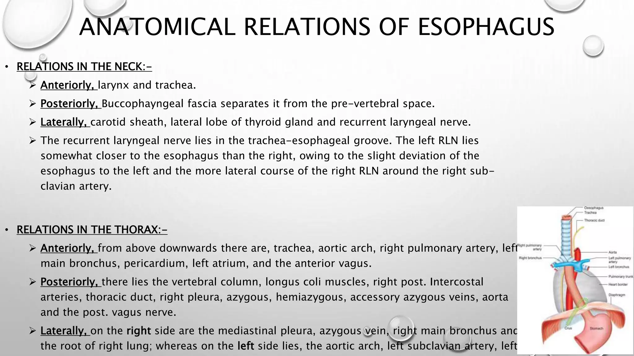 Ivor lewis esophagectomy | PPTX