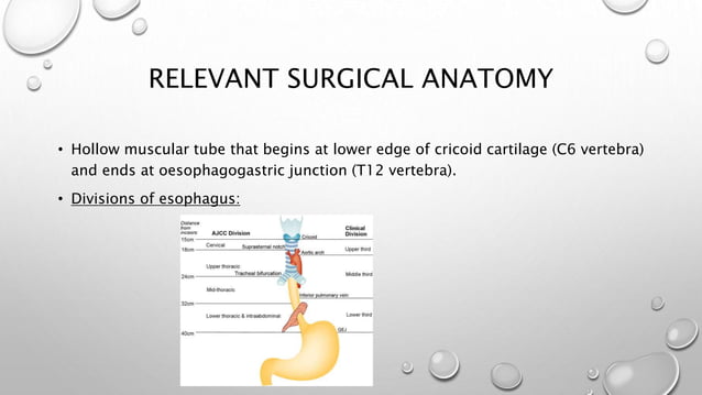 Ivor lewis esophagectomy | PPTX | Death, Injury, or Military Conflict ...