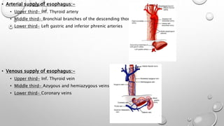 Ivor lewis esophagectomy | PPTX