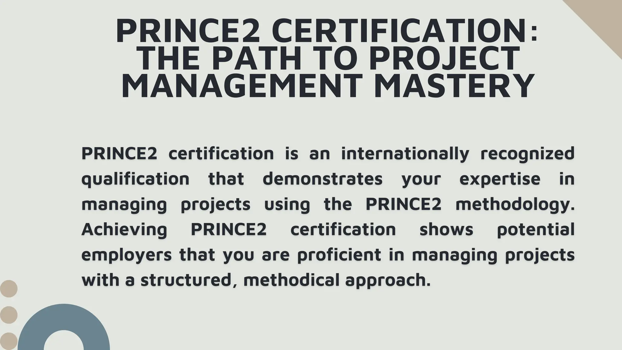 What is PRINCE2 ? A Comprehensive Guide | PDF