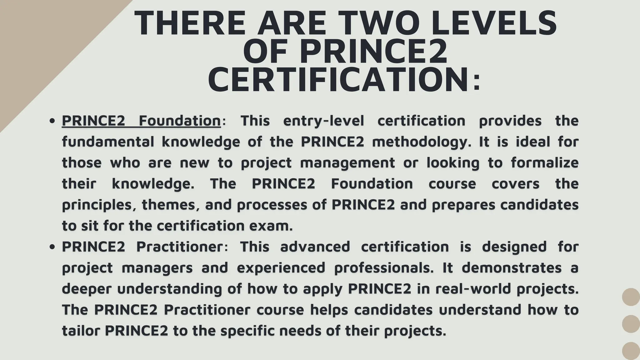 What is PRINCE2 ? A Comprehensive Guide | PDF