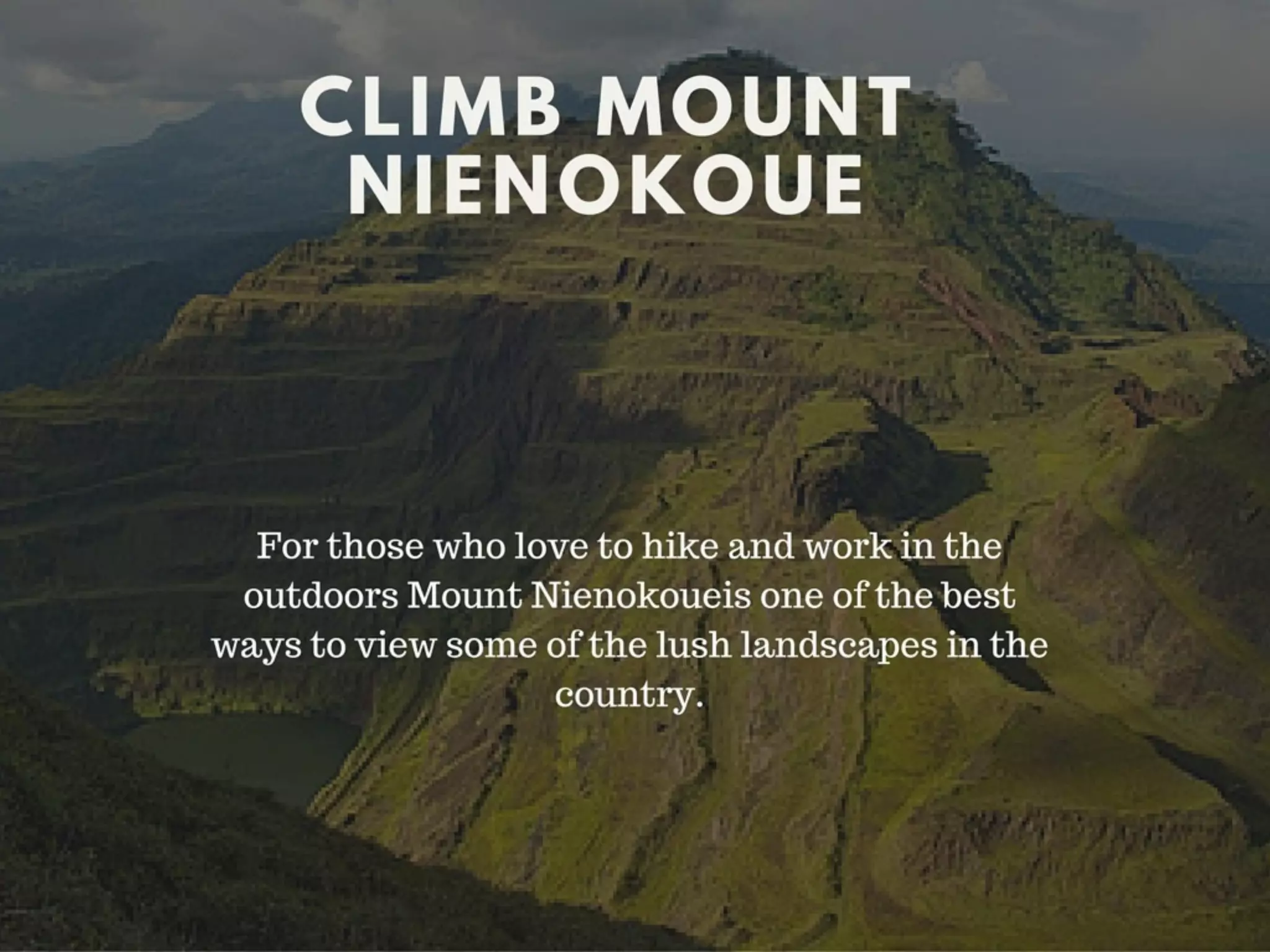 Top 4 things to Do | PDF