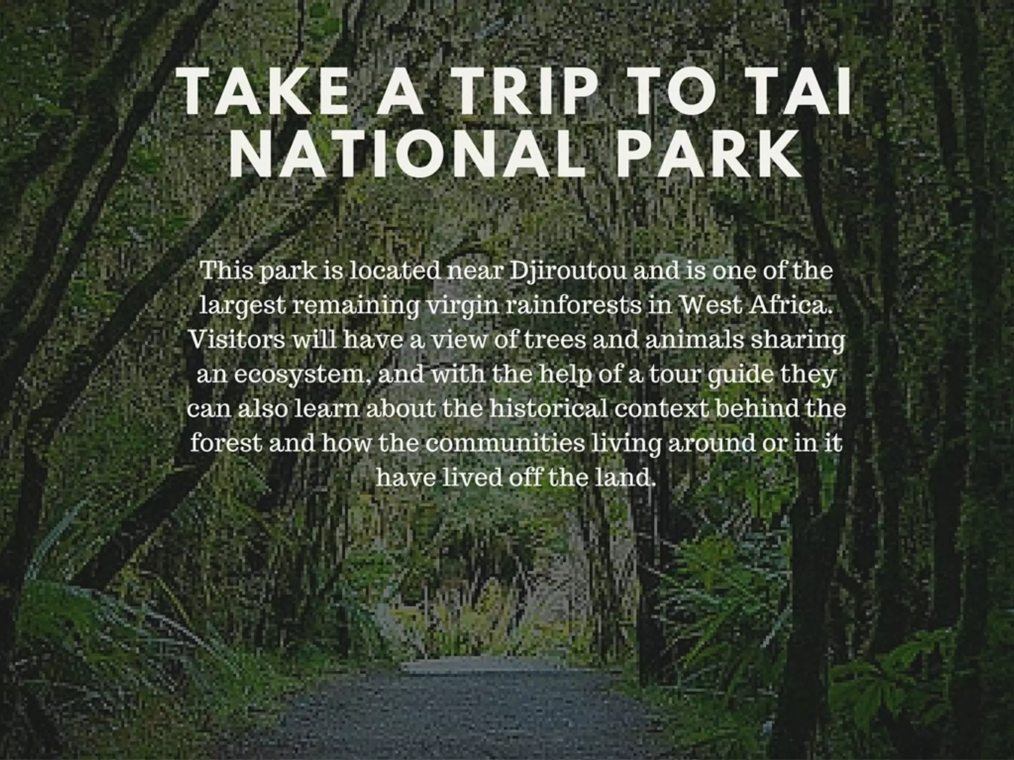 Top 4 things to Do | PDF