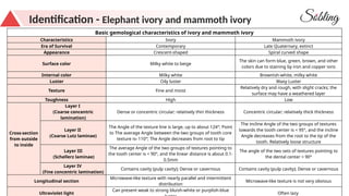 Ivory Guidebook And Other 7 Kinds Of Organic Gemstones’ Secrets.pptx