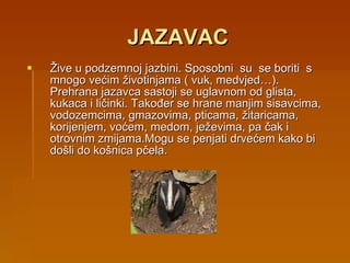 Biologija - ŽIvotinjski svijet | PPT