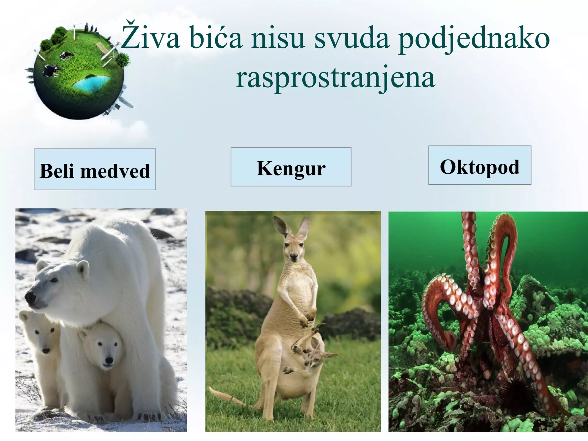 ŽIvotna sredina i životno stanište | PPT