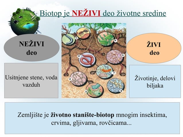 ŽIvotna sredina i životno stanište | PPT