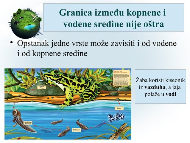 ŽIvotna sredina i životno stanište | PPT