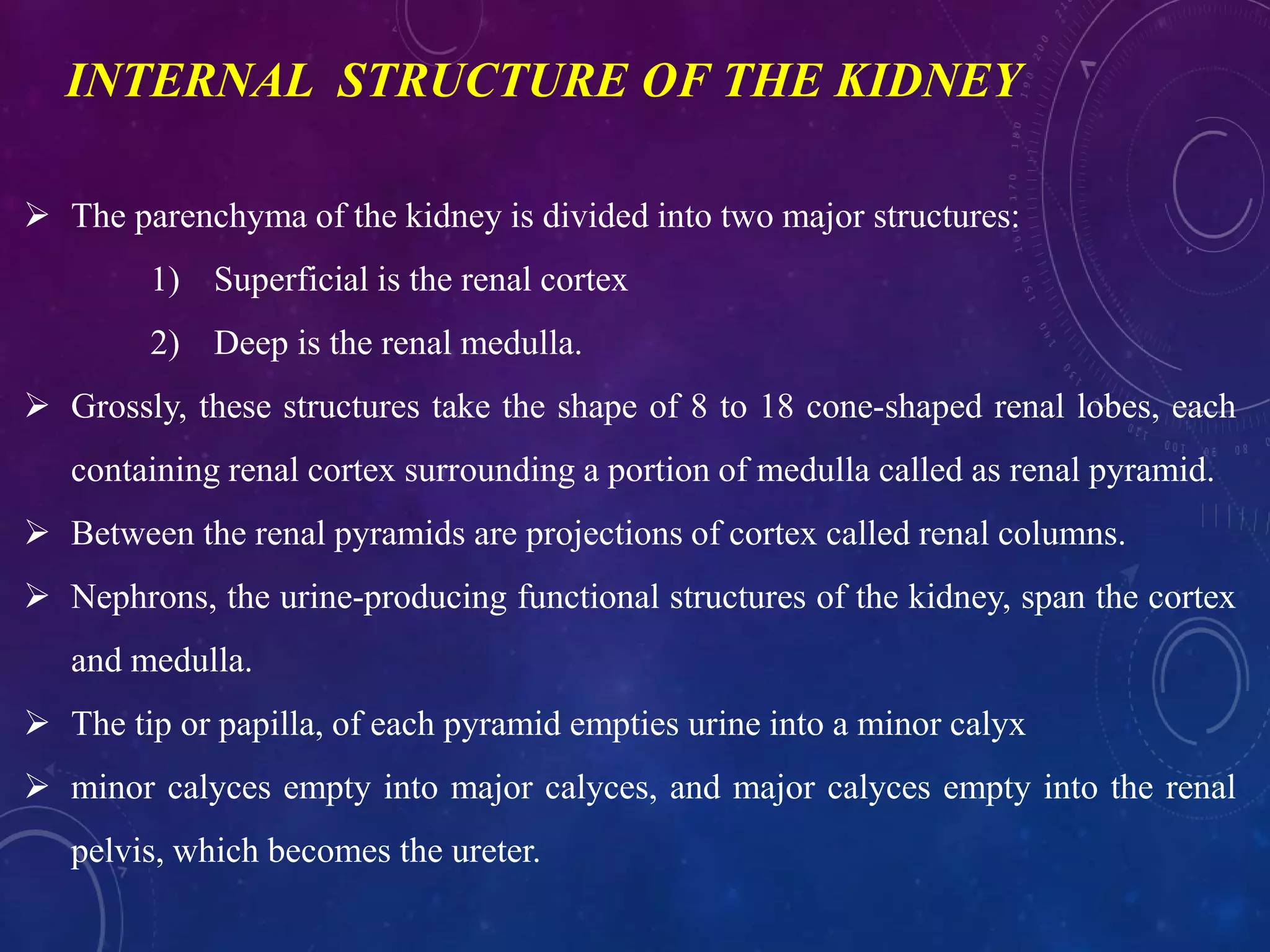 INTRAVENOUS UROGRAM (IVU) | PPTX