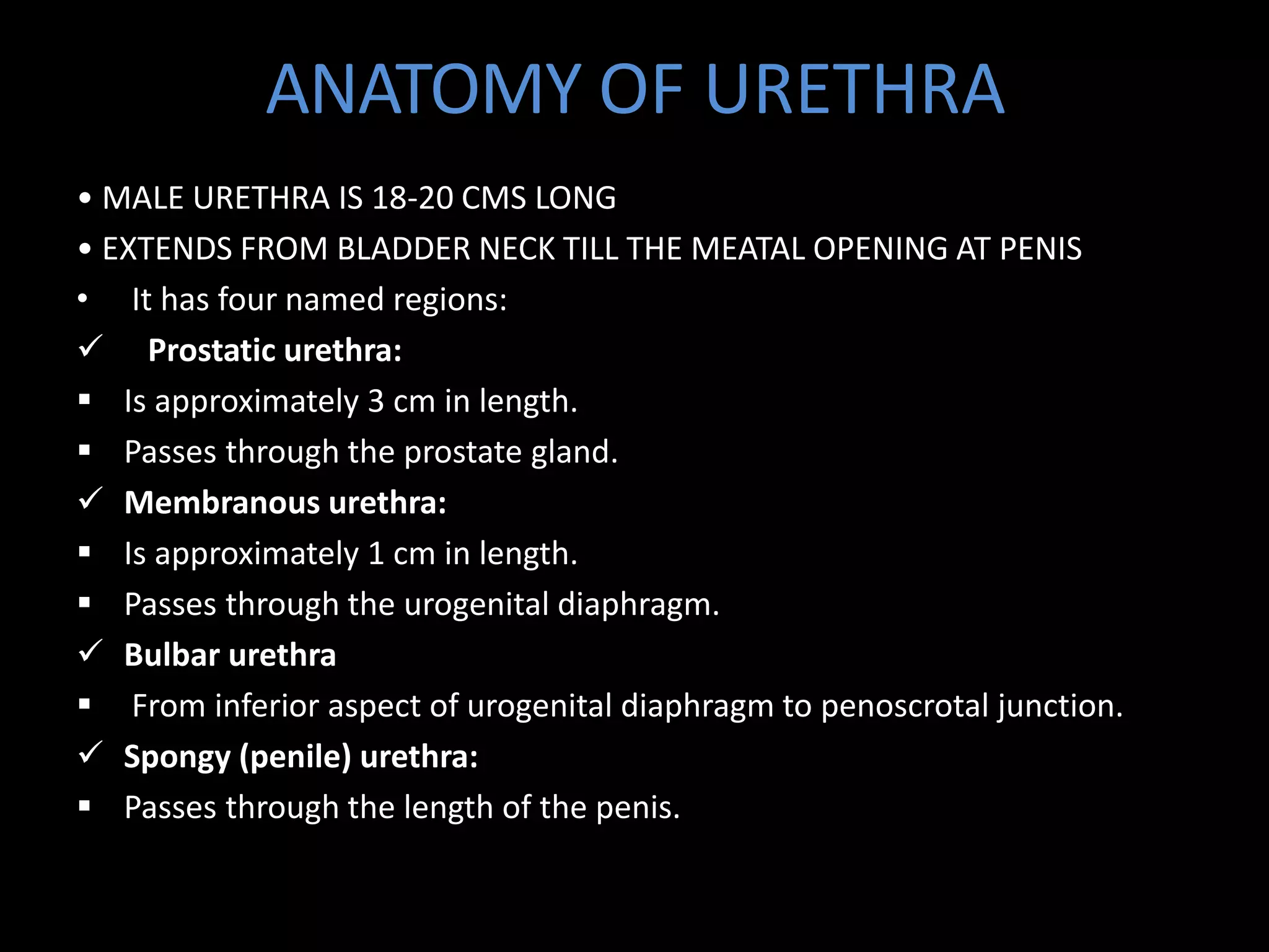 IVP, RGU & MCU | PPTX