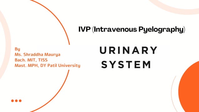 IVP (Intravenous Pyelography): An Overview of the Urinary System | PDF