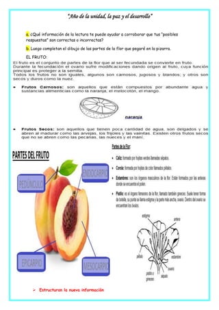 IV SES .MIER.LAS PARTES DE LA FLOR Y FRUTO.CCCS.docx
