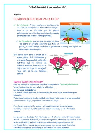 IV SES .MIER.LAS PARTES DE LA FLOR Y FRUTO.CCCS.docx