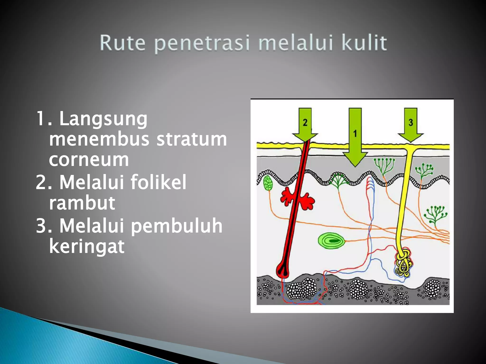 (IV) Sistem Penghantaran Obat Transdermal.pptx