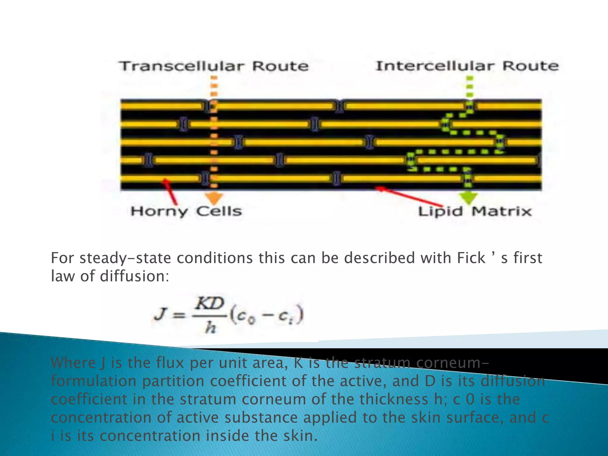 (IV) Sistem Penghantaran Obat Transdermal.pptx