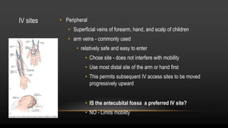 IV .ppt