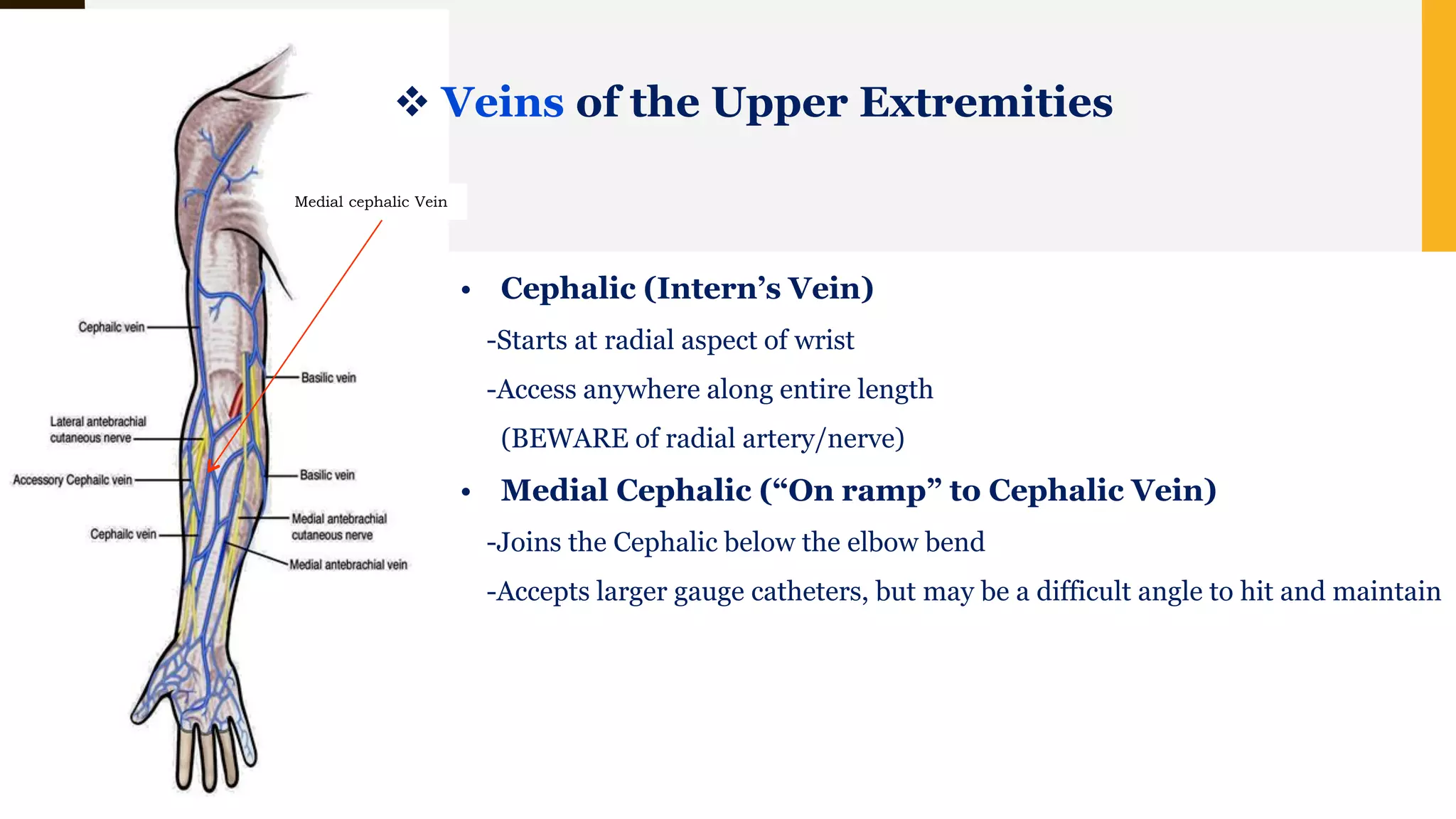 Iv therapy training | PDF