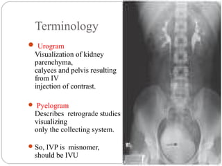 Intravenous Urography | PPT