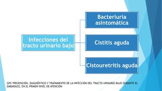 Infección de vías urinarias en el embarazo | PPTX