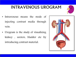 INTRAVENOUS UROGRAM | PPTX | Medical Tests | Medical Health