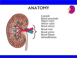 INTRAVENOUS UROGRAM | PPTX