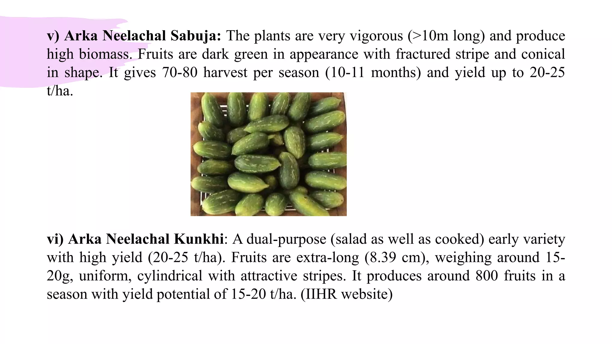 ivygourd-210917071332.pptx