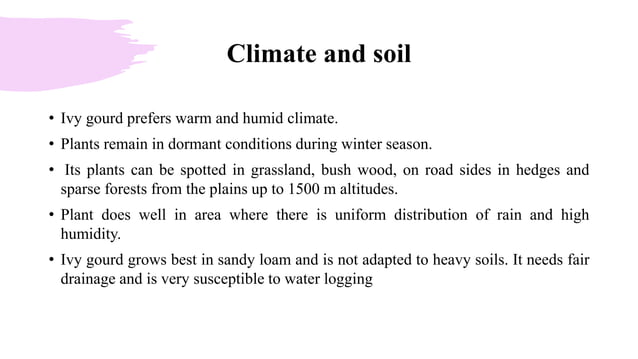 ivygourd-210917071332.pptx