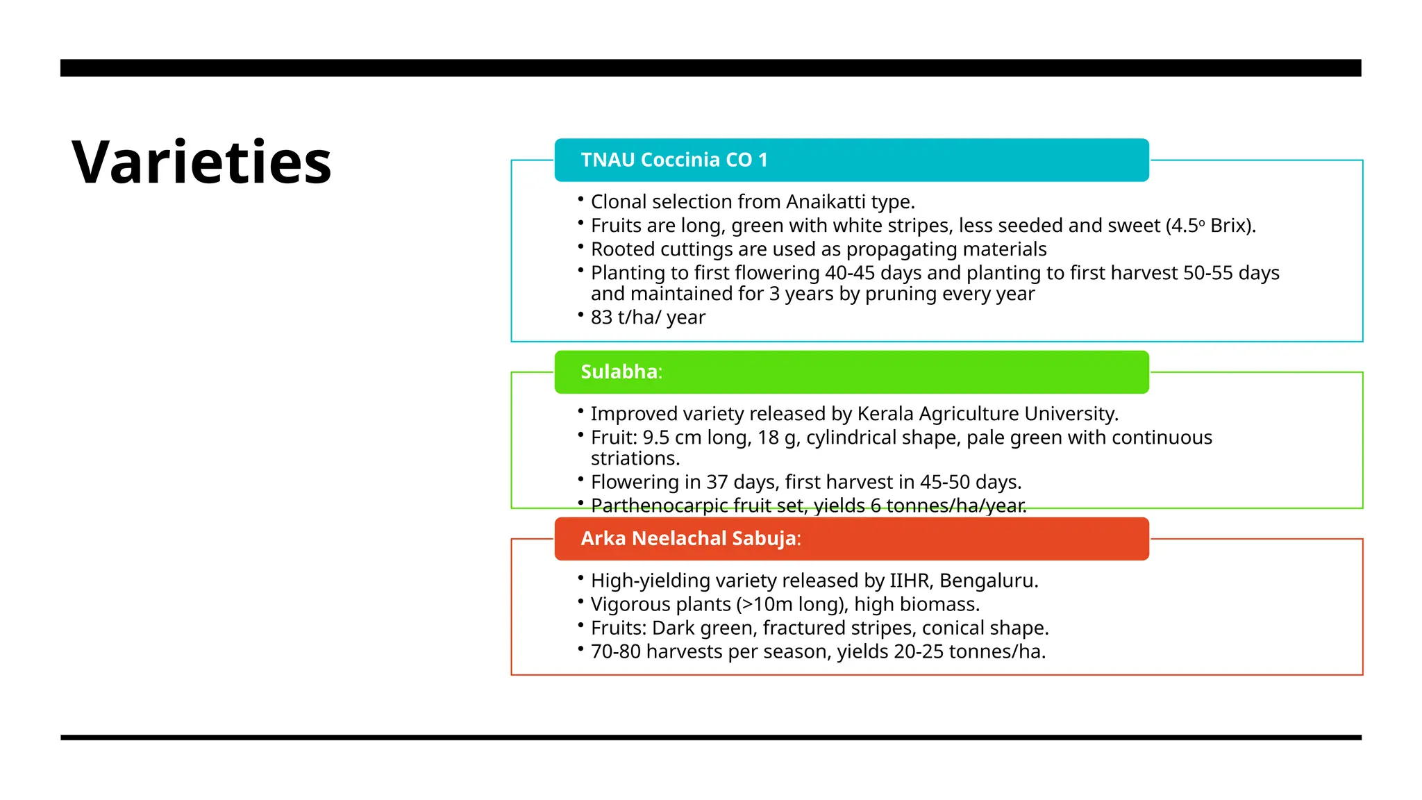 Breeding in ivy gourd : floral biology, methods and challenges | PPTX