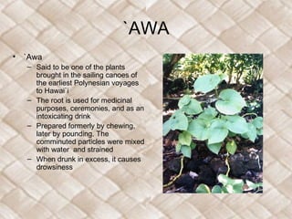 Iwa 1 | PPT | Religion & Spirituality