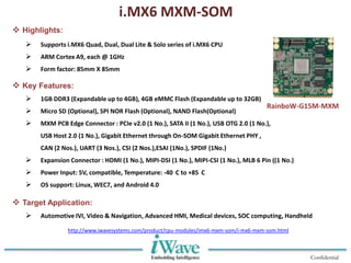 iWave Systems Techologies Pvt Ltd: Products-Hardware IPs | PPTX