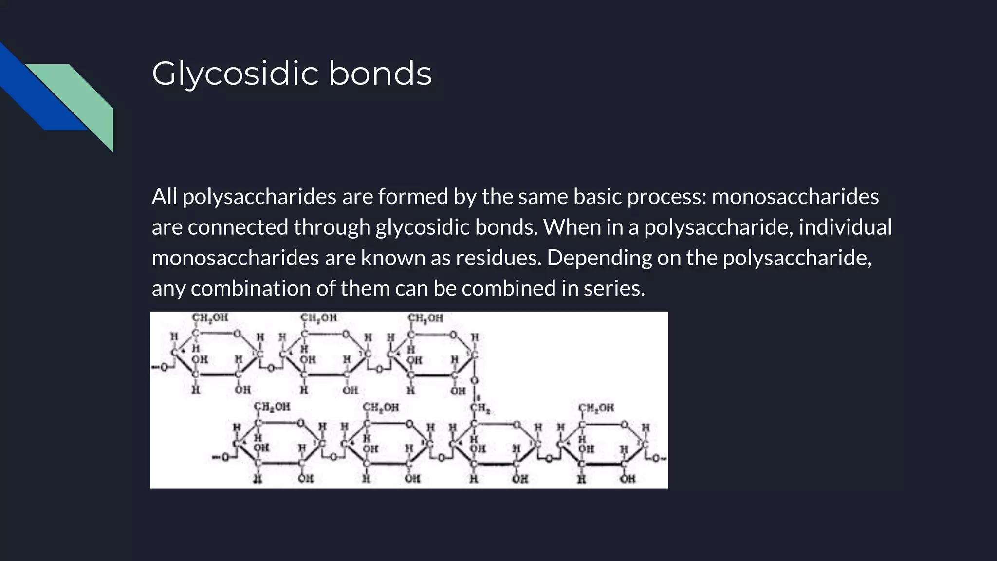 Polysaccharides | PPTX