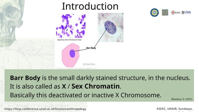 IWFAS24_I Gusti Lanang Bumi Agung_SLR_Barr Body.pptx