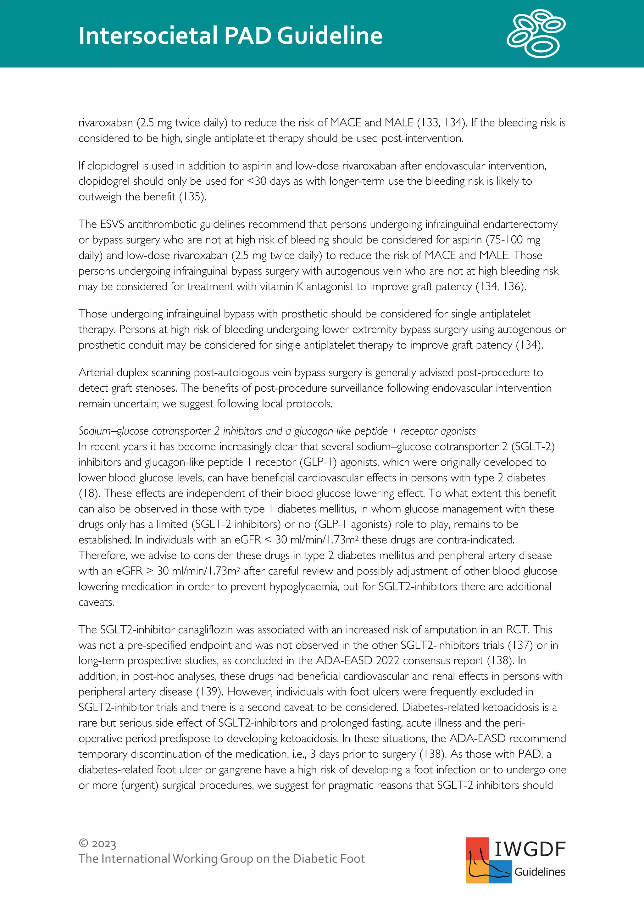 IWGDF-2023-05-PAD-Guideline.pdf
